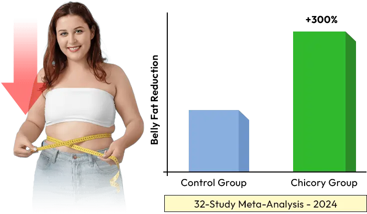 Lipomax – Natural Weight Loss Supplement for Fat Burning & Cravings Control